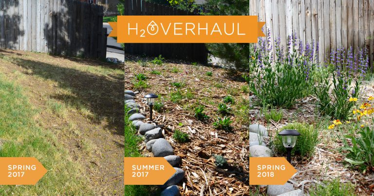 H2Overcoming Landscape Barriers - Thornton Water