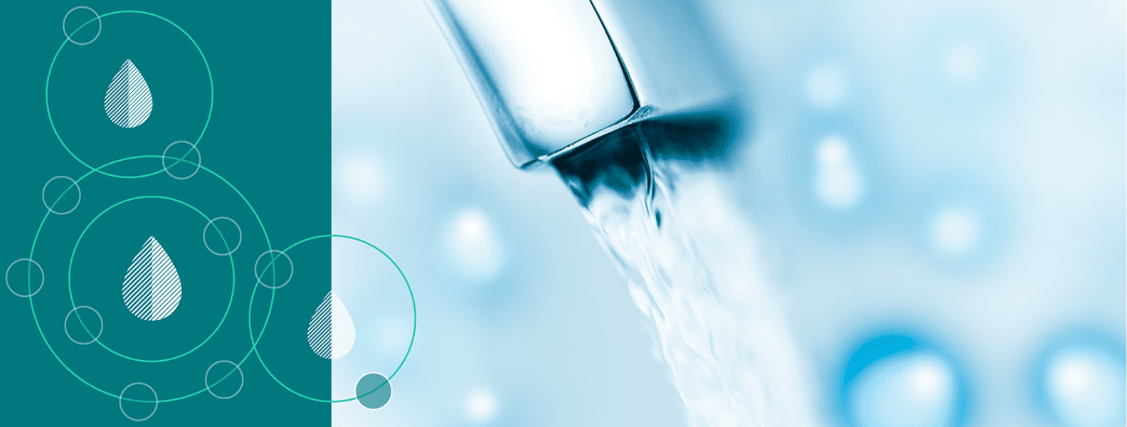 Making Sense of Water’s Taste and Smell - Thornton Water